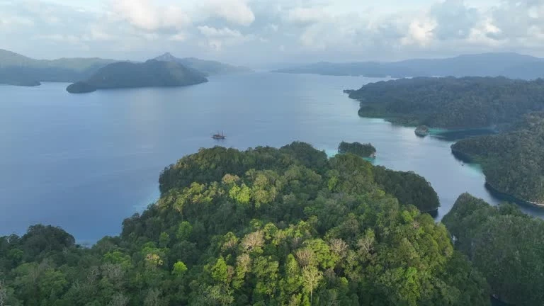 Explore Fakfak, West Papua – Hidden Gem of Indonesia - Your Trusted ...