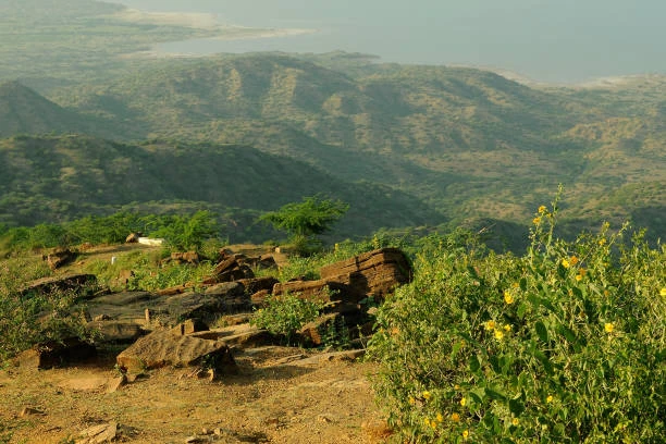 Explore Mundra, Gujarat – Port, Beaches & Wildlife Sanctuaries - Your ...