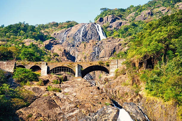 Dudhsagar Falls Goa - A Must-Visit Waterfall & Nature Escape - Your ...