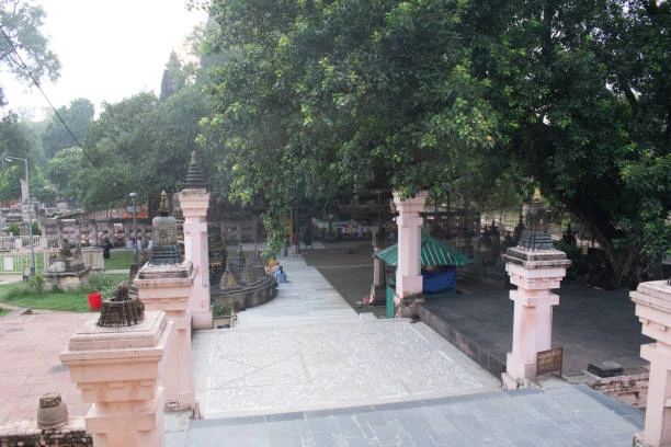 Chhapra, Bihar – Discover Top Attractions & Travel Guide - All-in-One ...