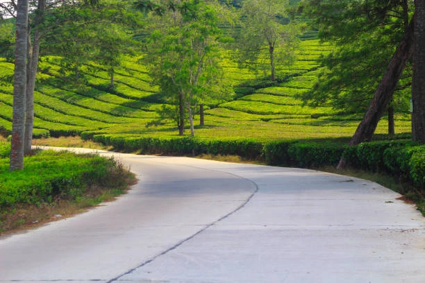 Kausani Travel Guide 2025 – Hill Retreat in Uttarakhand - Your Trusted ...