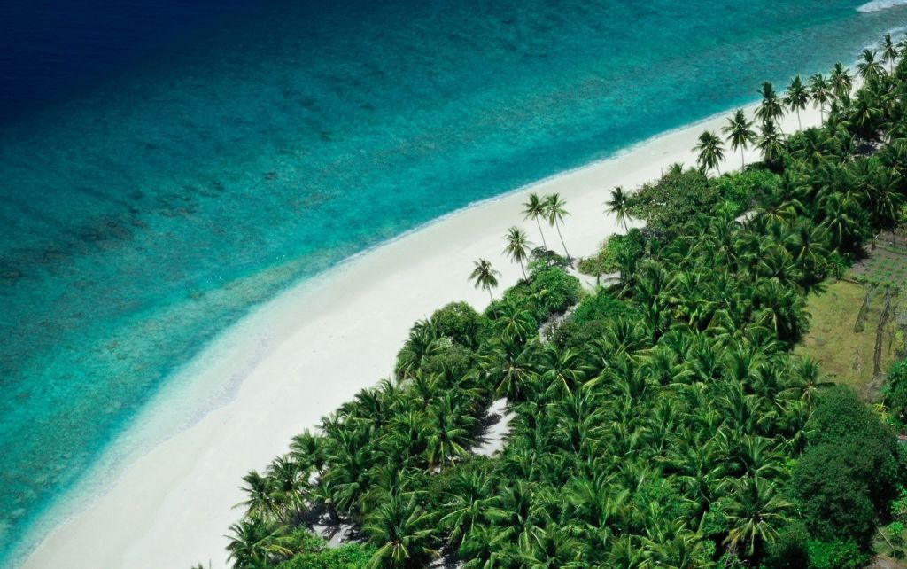 Travellers Declaration - Maldives Immigration Process - Your Trusted ...