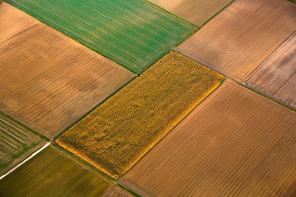 Convert Hectare to Acre | Easy Hectare to Acre Calculator Online - Your ...